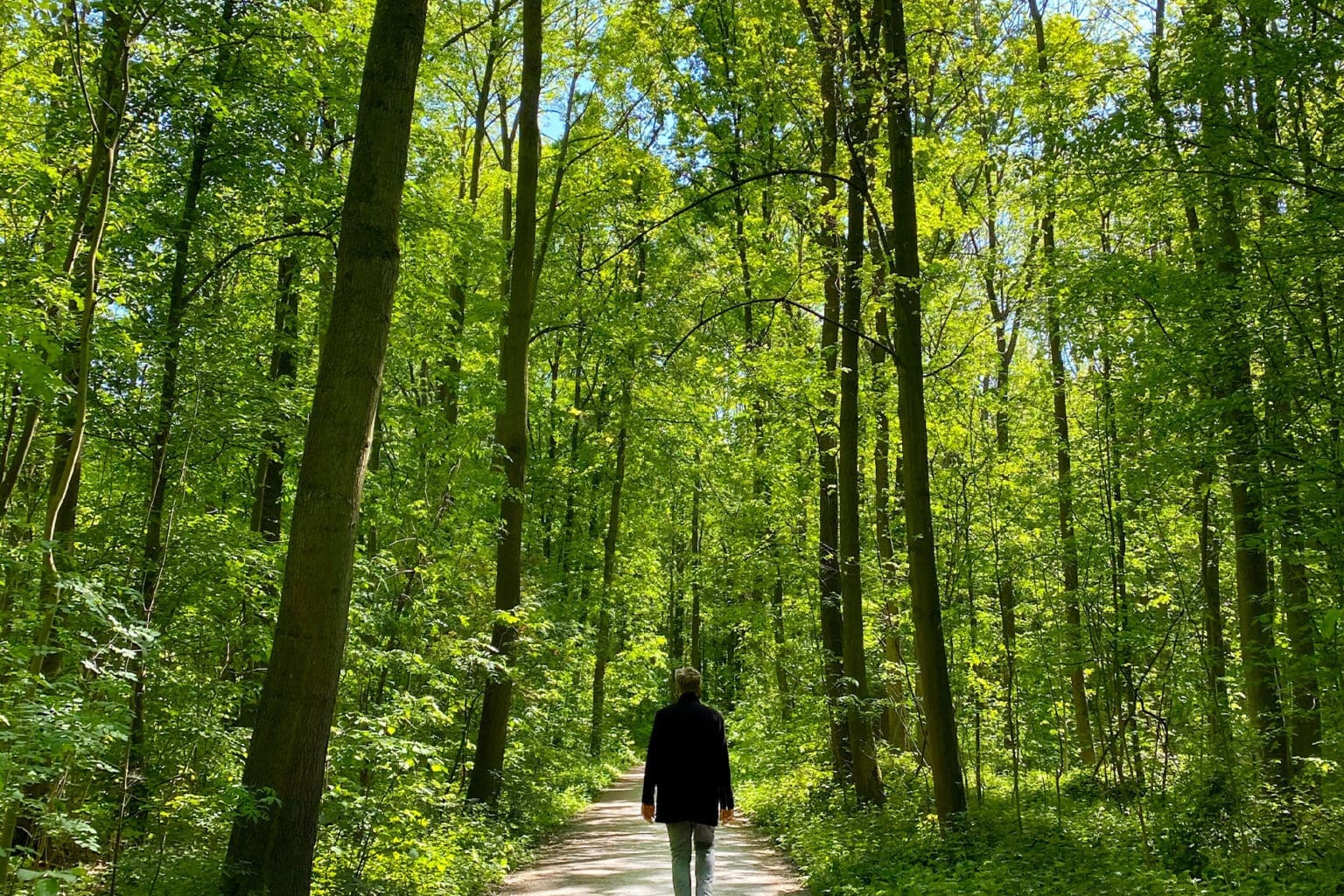 The Old Mill Walking Trail: What to Know Before You Go