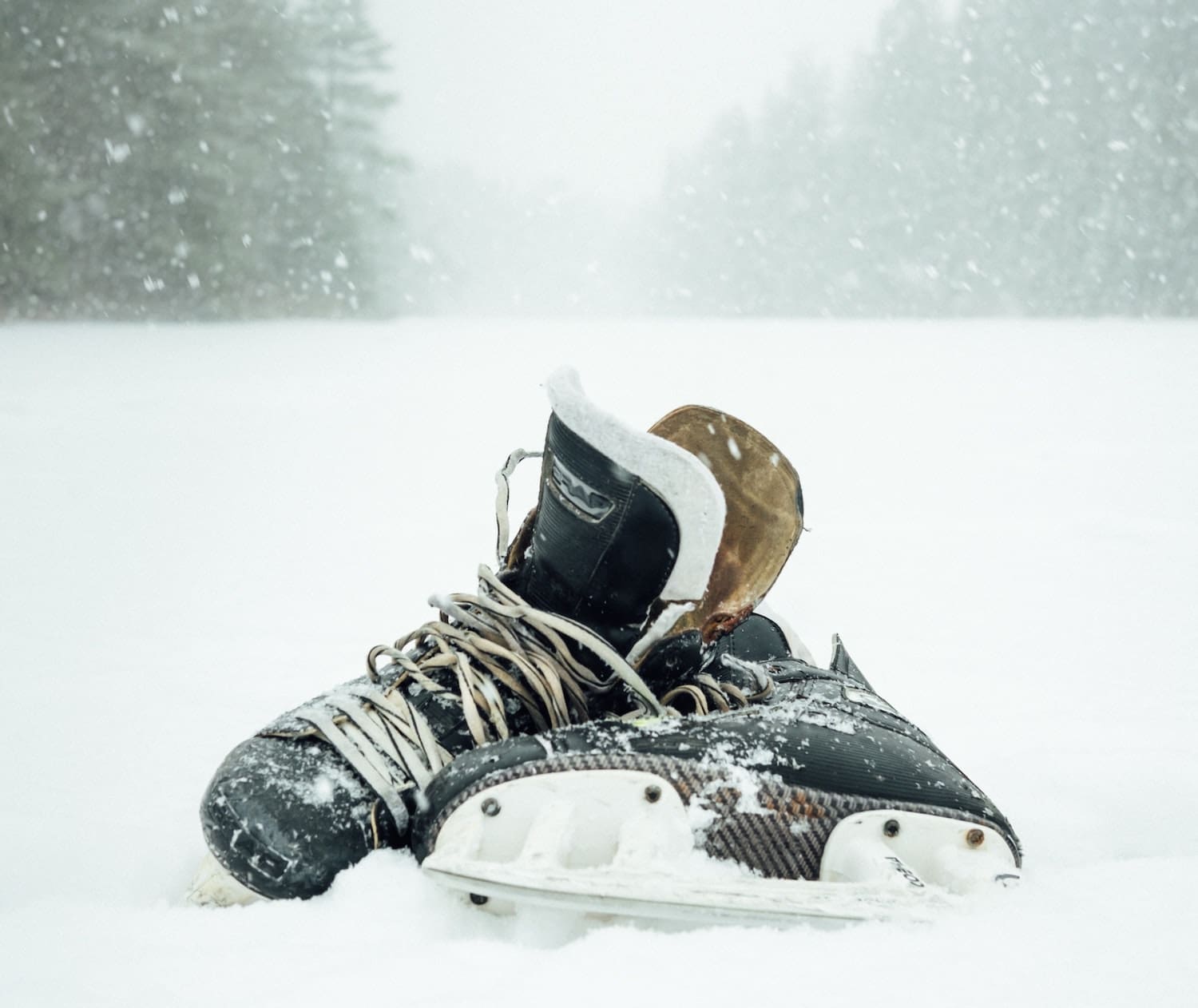 Five Best Skating Rinks in the West End - Sidorova Inwood Team