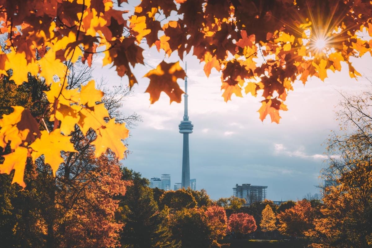 6 Places You Have To Visit This Fall | Sidorova Inwood Team